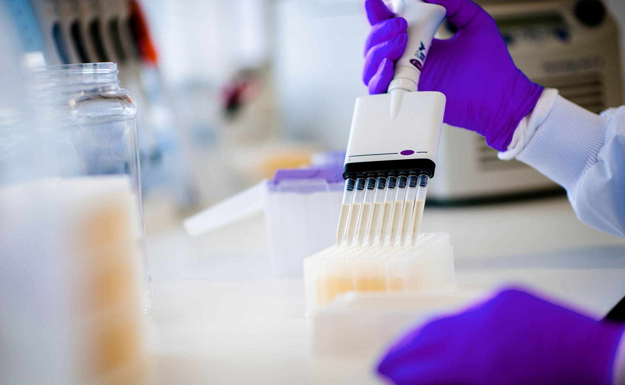 Partner with Isogenica, for custom VHH antibody discovery